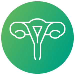 North Star Vascular and Interventional | Minnesota