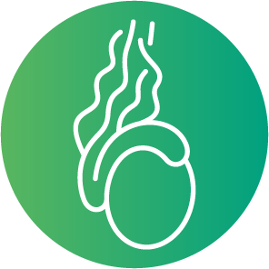 Physician Resources - North Star Vascular and Interventional